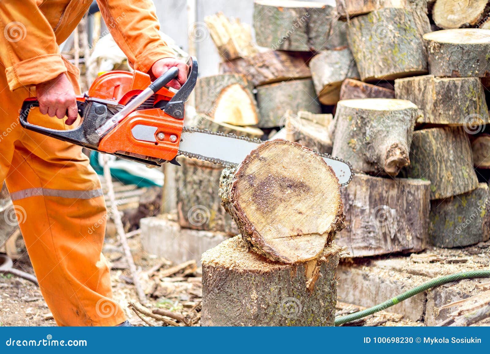 Lumberjack Worker in Full Protective Gear Cutting Firewood in Forest ...