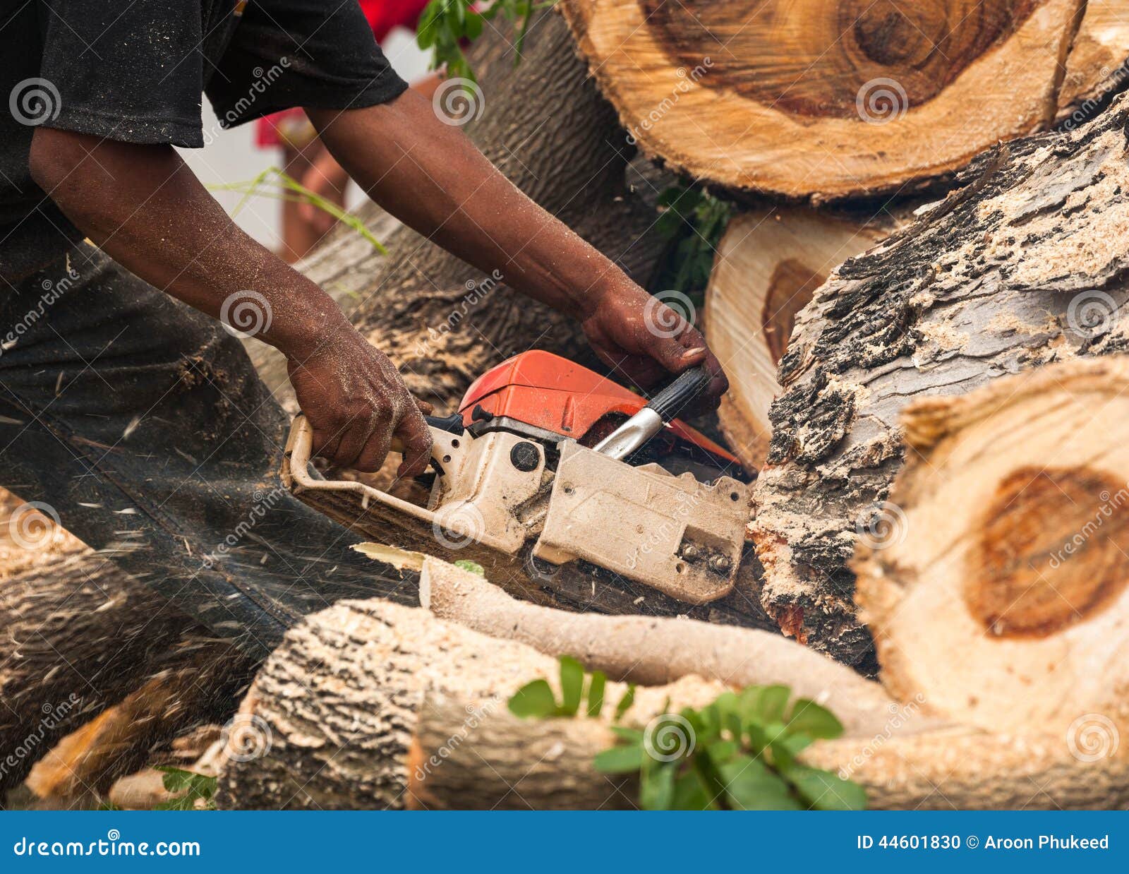 Lumberjack Worker in Full Protective Gear Cutting Firewood Stock Photo ...
