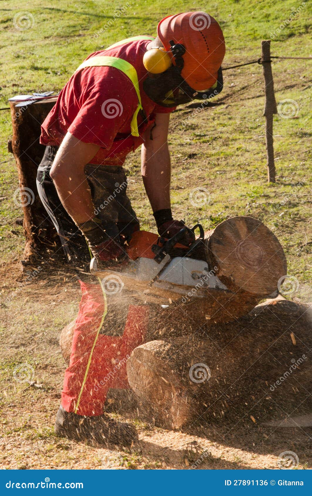 Lumberjack working stock photo. Image of people, orange - 27891136