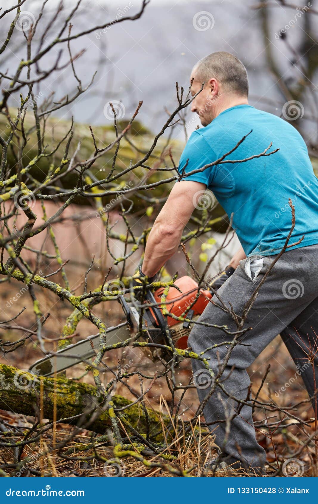 Lumberjack Working with Chainsaw Stock Photo - Image of skilled, people ...