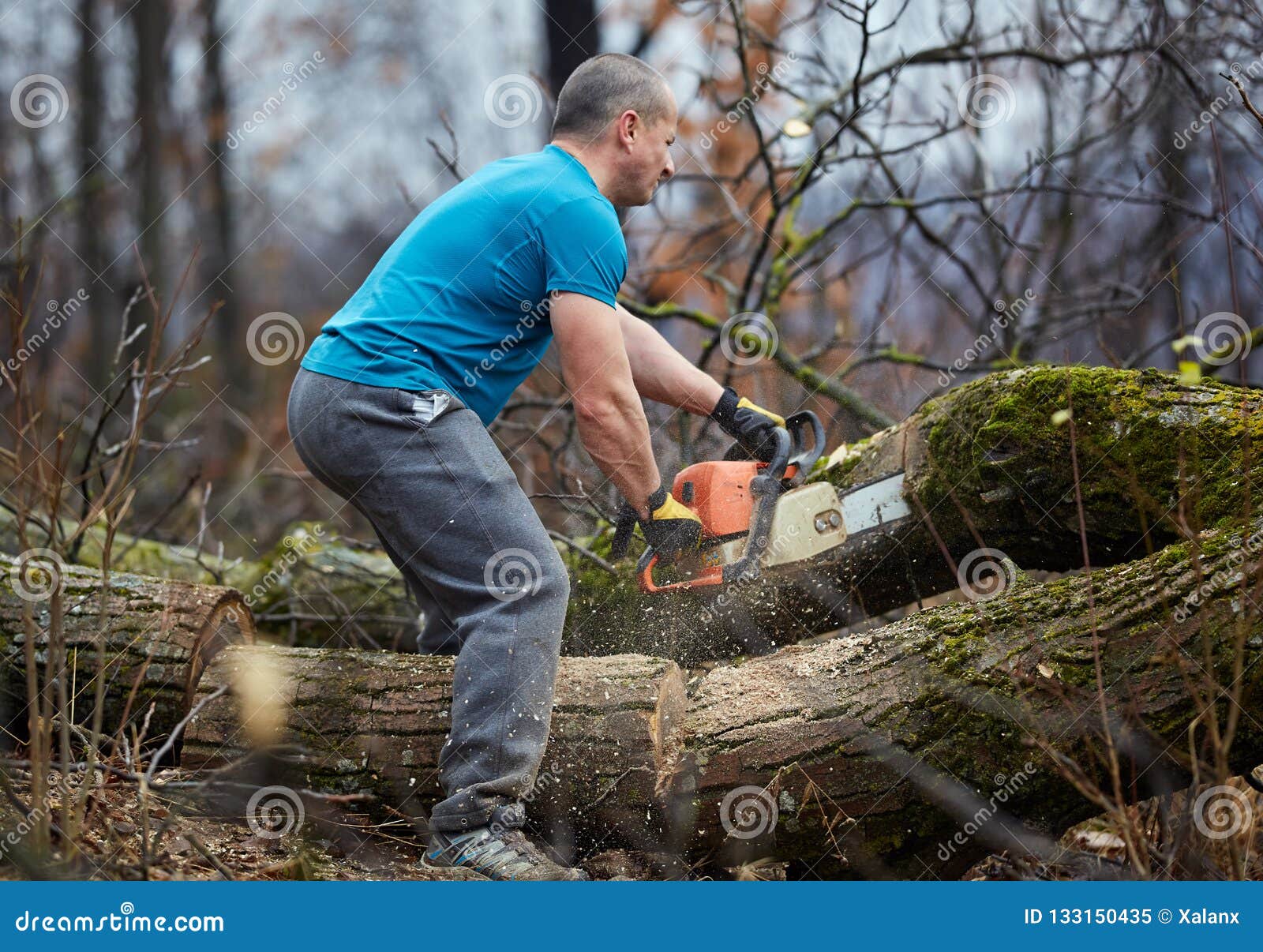 Lumberjack Working with Chainsaw Stock Image - Image of outdoor ...