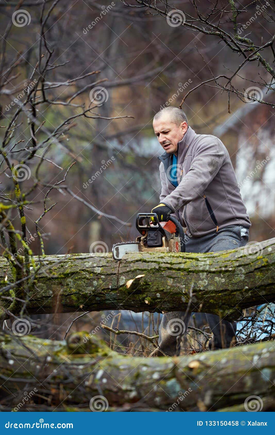 Lumberjack Working with Chainsaw Stock Photo - Image of farmland ...