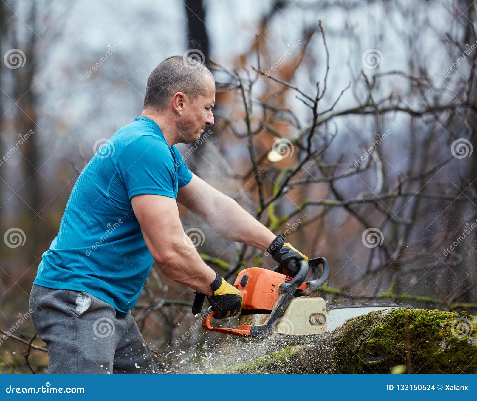 Lumberjack Working with Chainsaw Stock Photo - Image of lifestyle ...