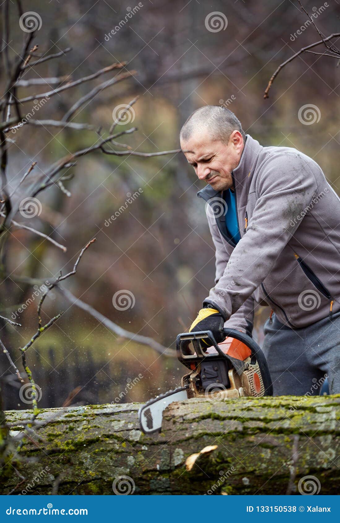 Lumberjack Working with Chainsaw Stock Photo - Image of garden ...