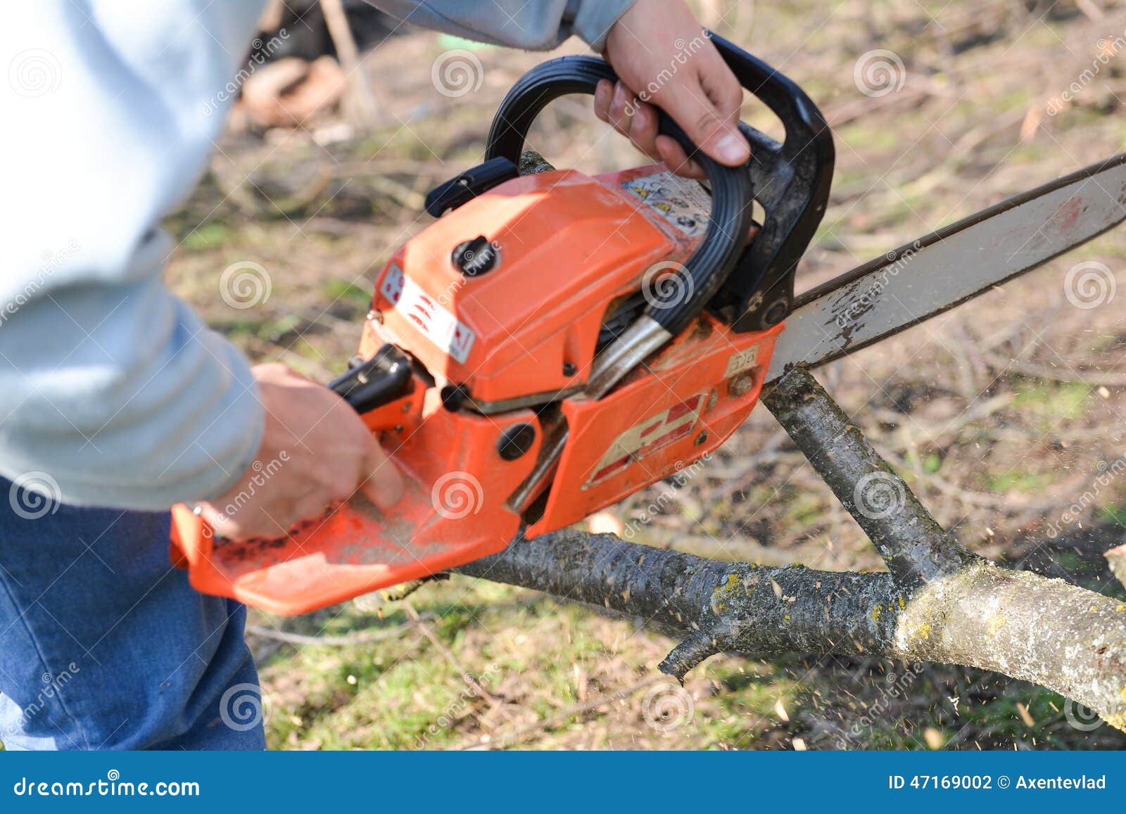 Lumberjack Working with Chainsaw, Cutting Wood Stock Photo - Image of ...