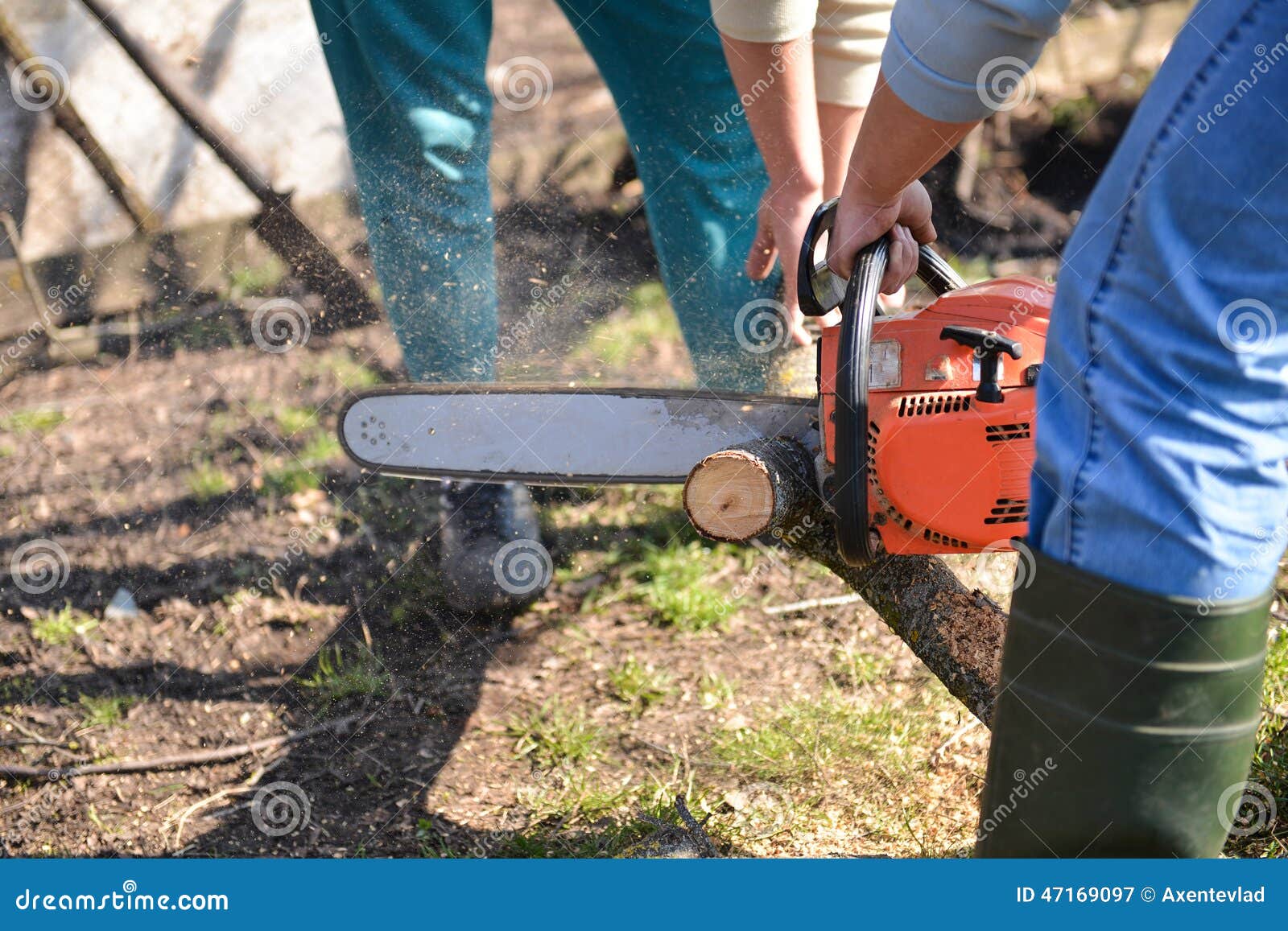 Lumberjack Working with Chainsaw, Cutting Wood Stock Image - Image of ...
