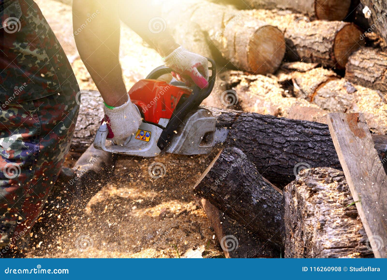 Lumberjack Working with a Chainsaw Stock Photo - Image of construction ...