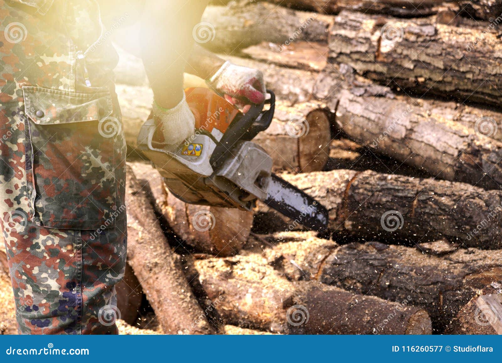 Lumberjack Working with a Chainsaw Stock Image - Image of laborer ...