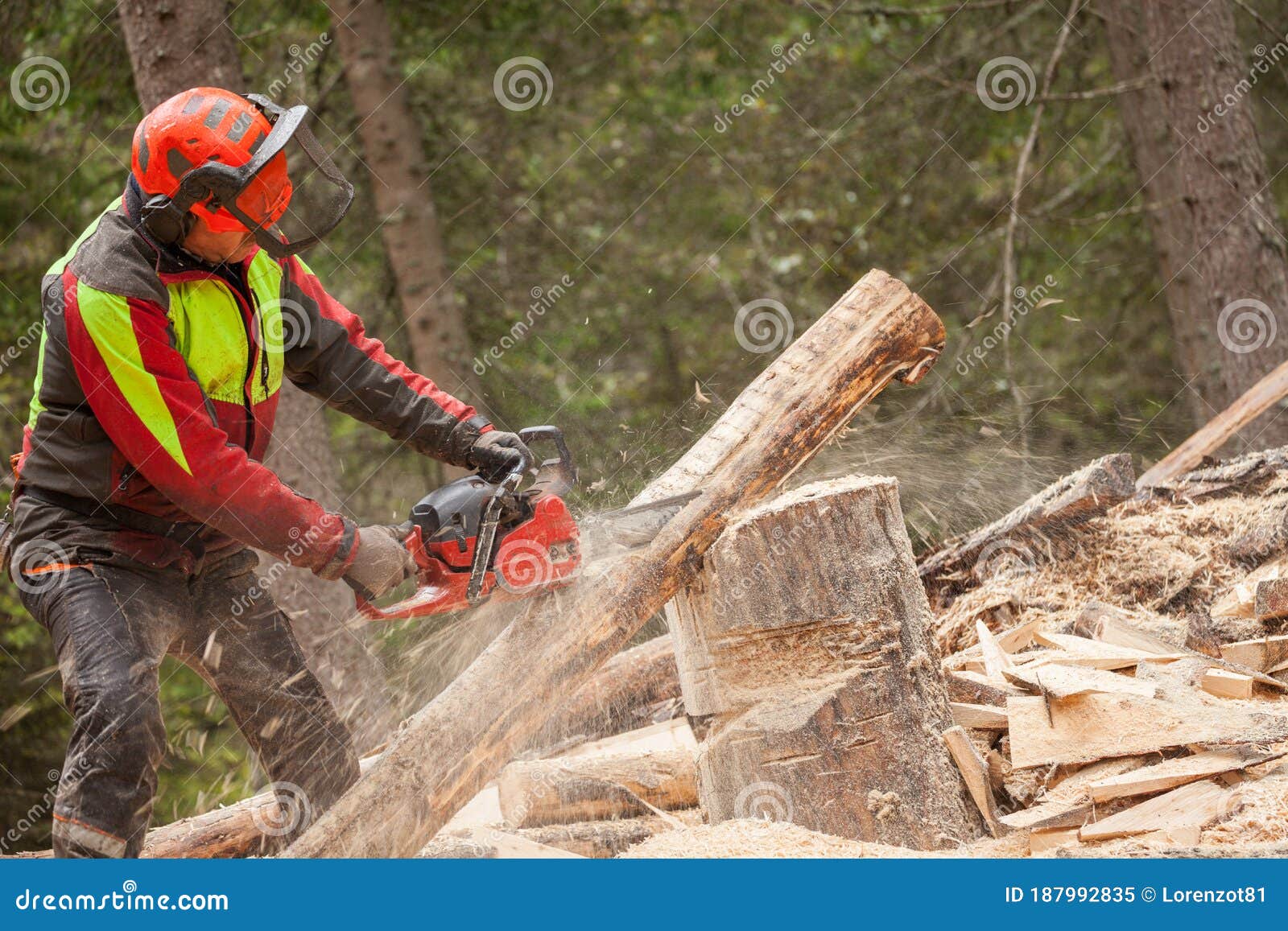 Lumberjack Working