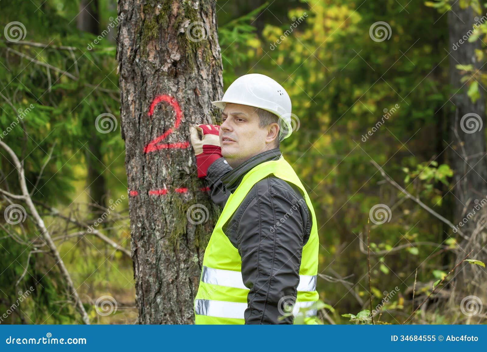 Lumberjack write on tree stock image. Image of fuel, firewood - 34684555