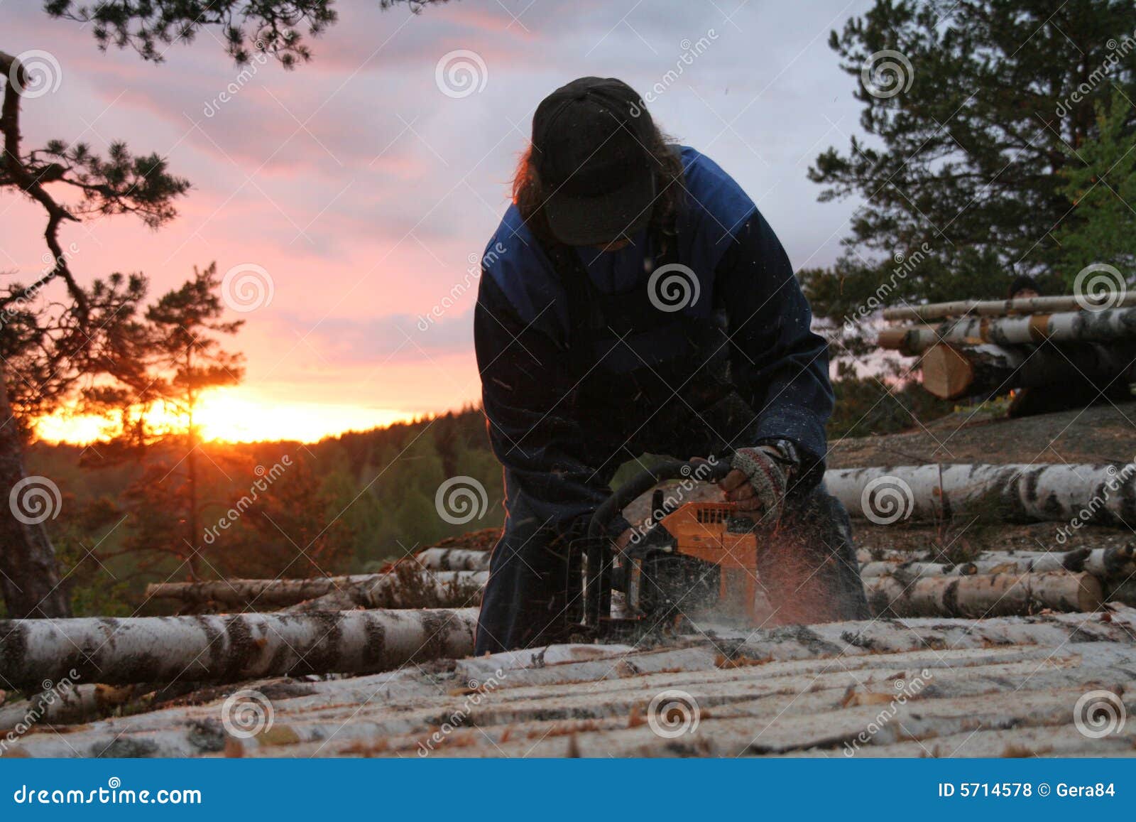 A lumberman stock photo. Image of tool, machine, people - 5714578
