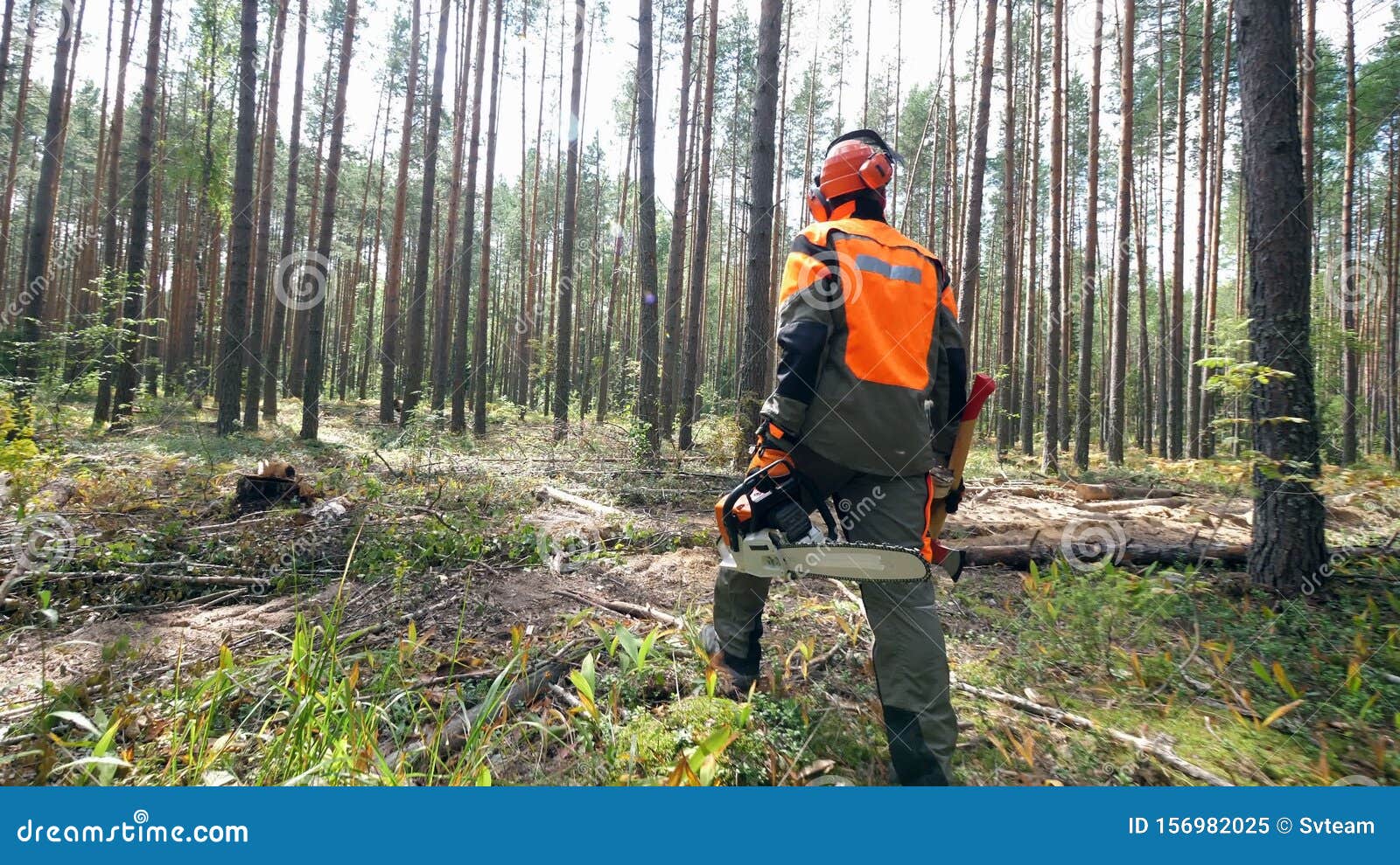 Lumberman is Walking Along the Forest with a Chainsaw Stock Video ...
