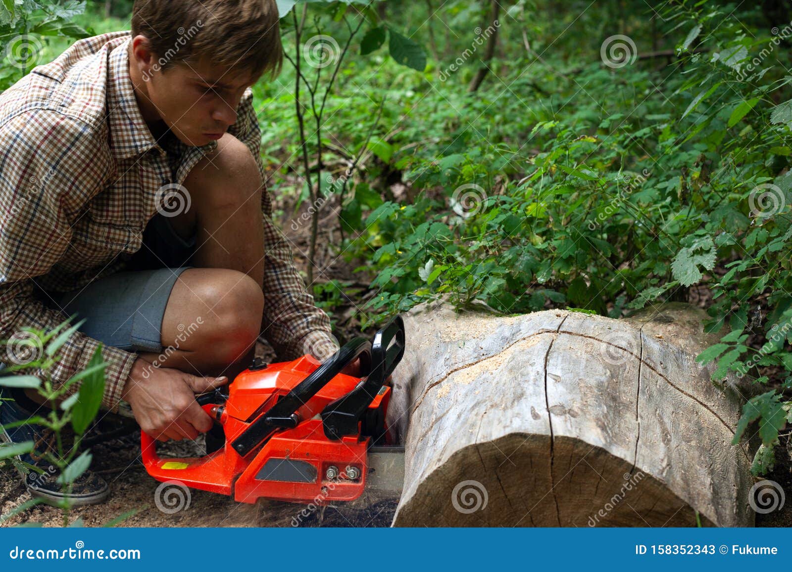 Lumberman Work Wirh Chainsaw in the Forest Stock Image - Image of human ...