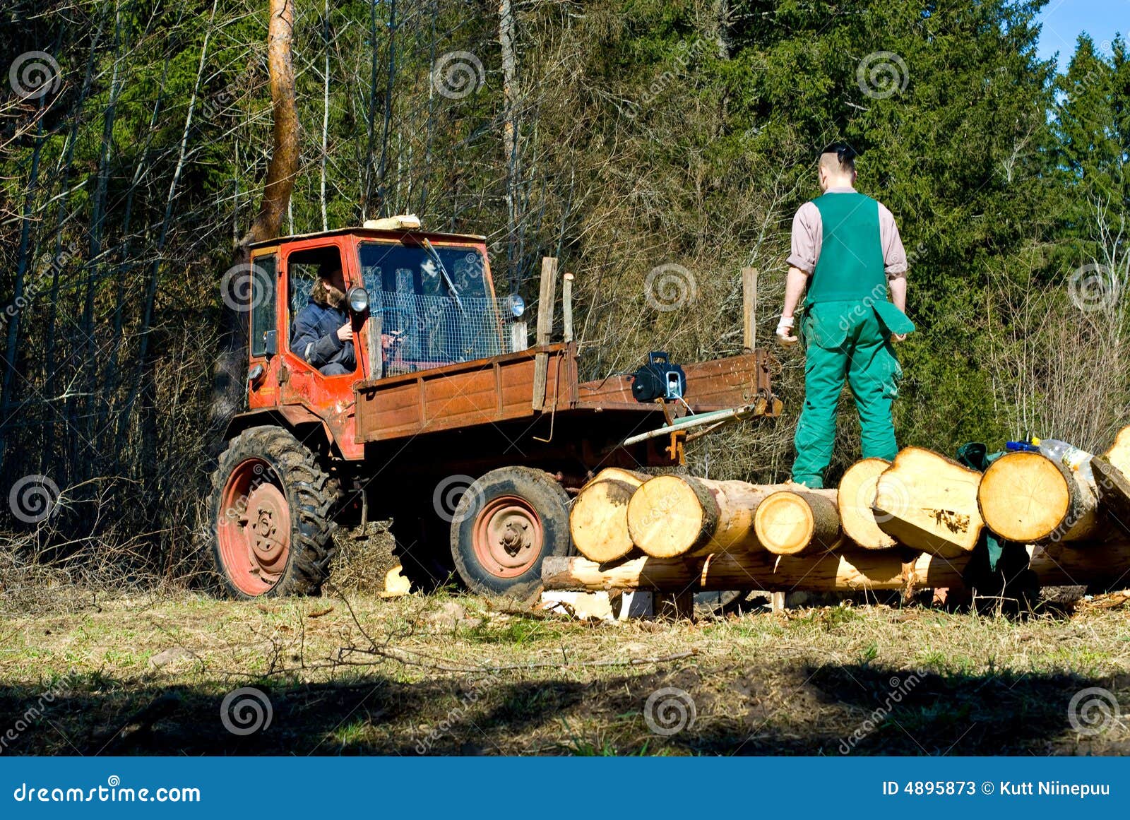 Lumbermen using tractor stock image. Image of forest, pile - 4895873