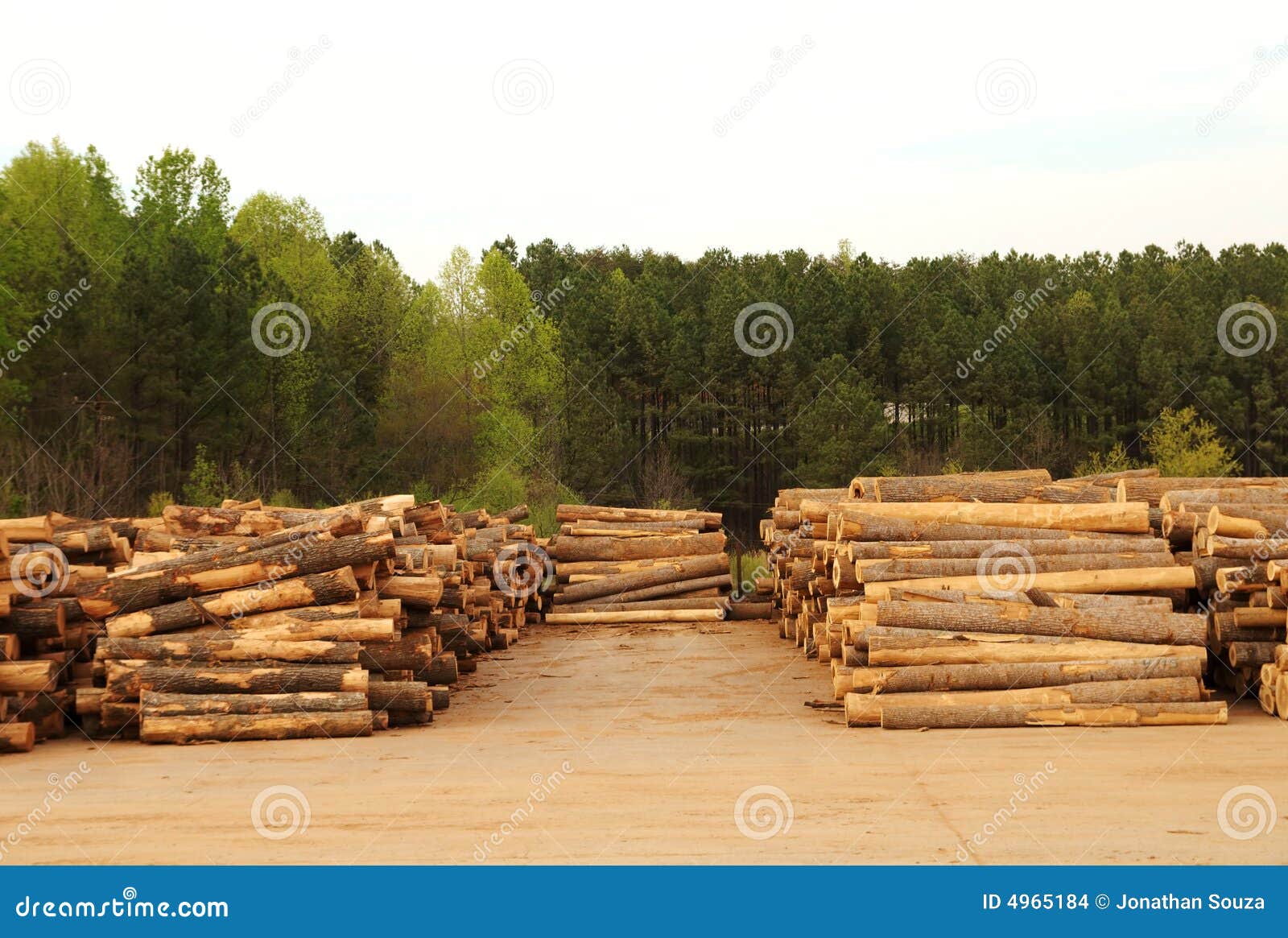 Lumberyard with Stacks of Logs Stock Photo - Image of round ...