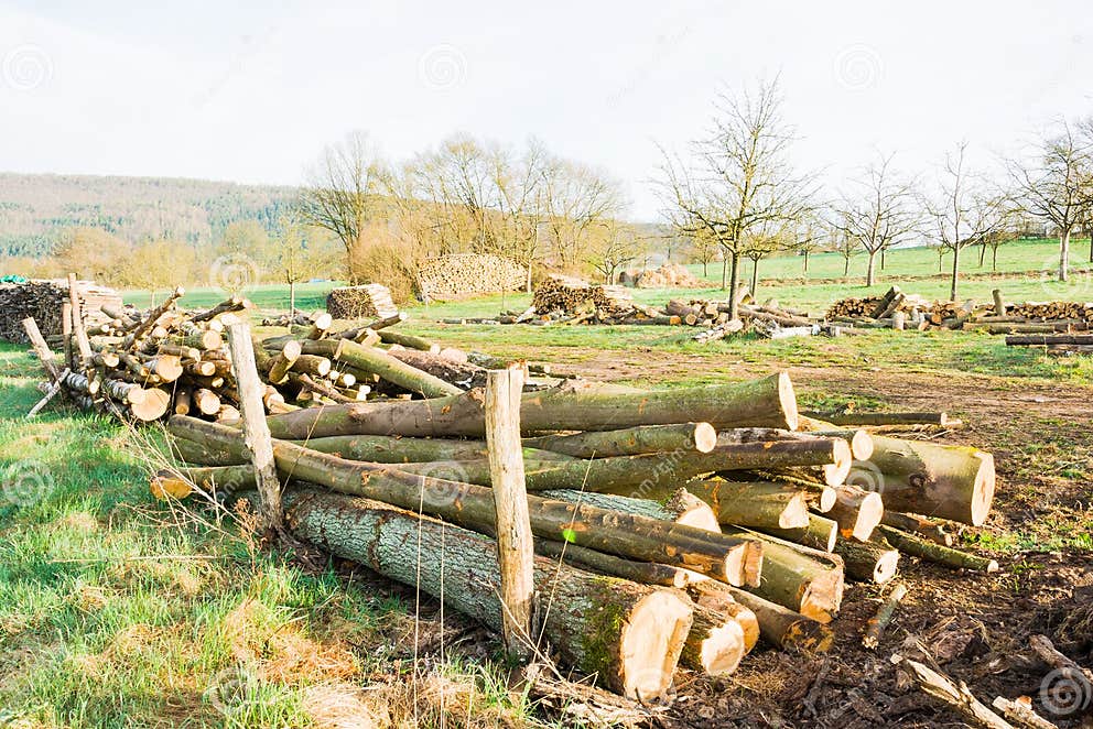 Lumberyard stock image. Image of people, firewood, cleave - 97878565