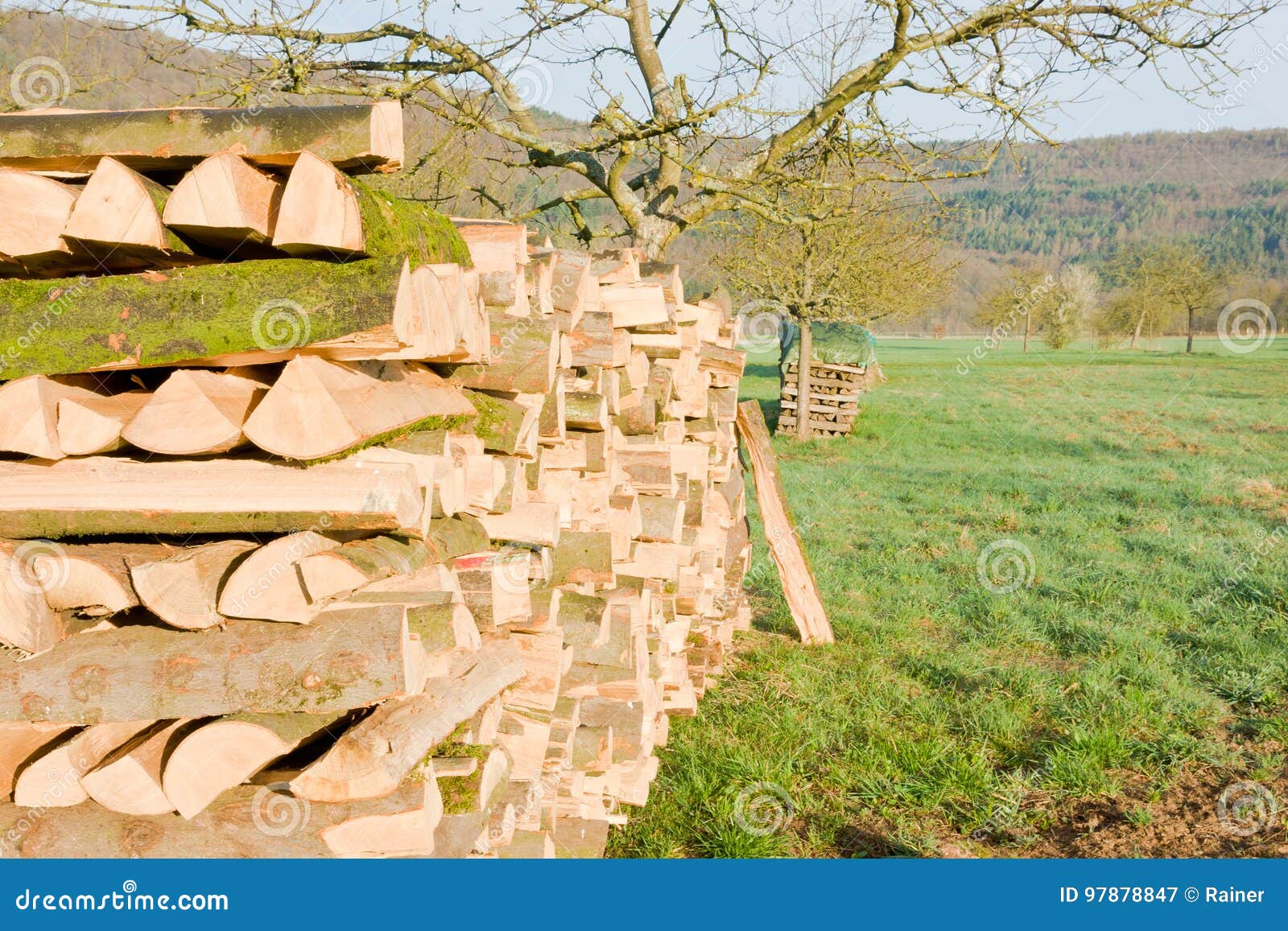 Lumberyard stock image. Image of lumberyard, stacked - 97878847