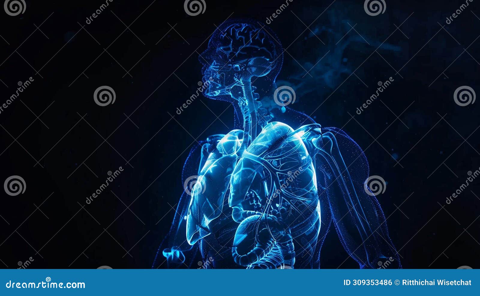 Luminous Blue 3D Rendering of Human Lungs, Highlighting the Respiratory ...