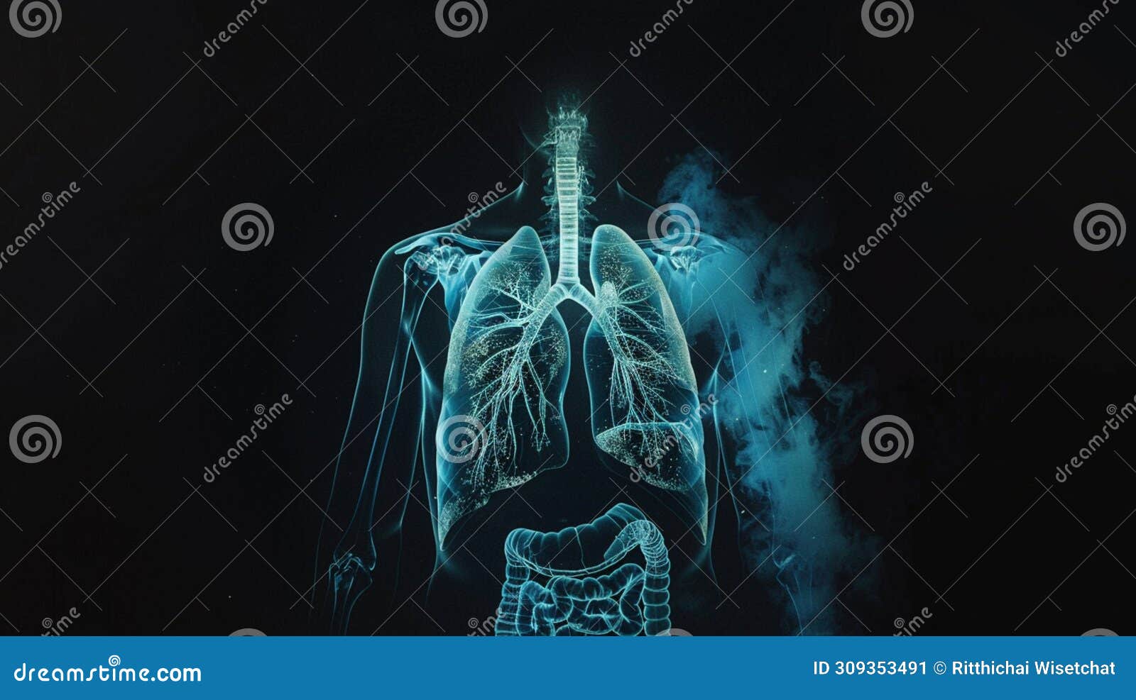Luminous Blue 3D Rendering of Human Lungs, Highlighting the Respiratory ...