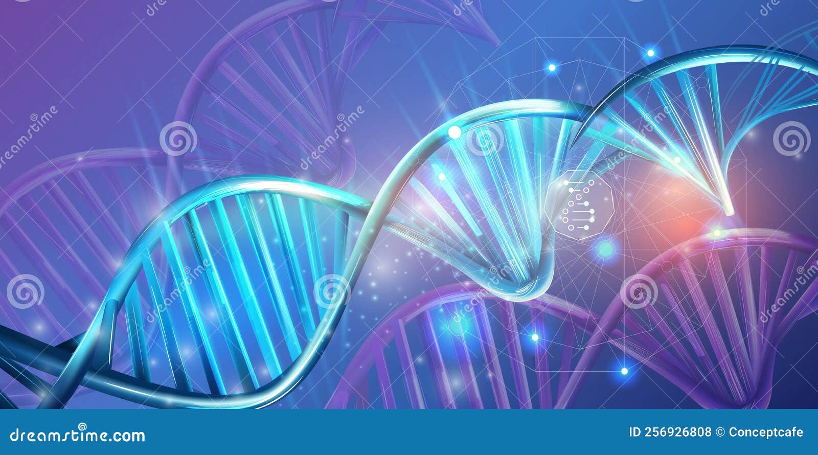 Luminous Double Helix Strands of Abstract DNA. Stock Illustration ...