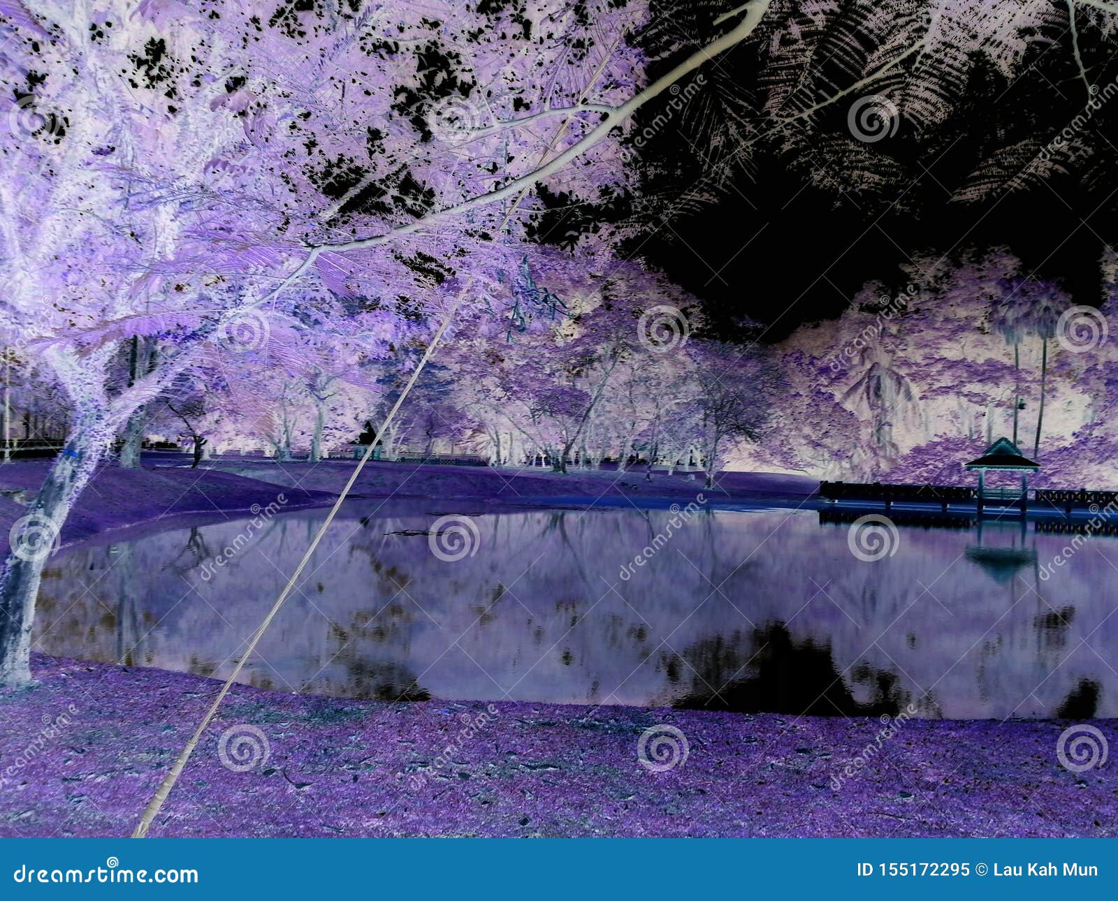 Luminous garden stock image. Image of beautiful, luminous - 155172295