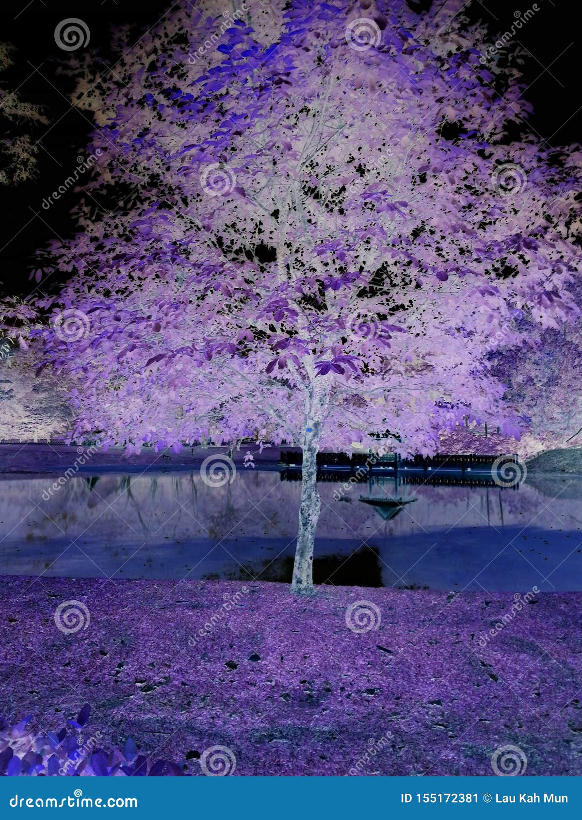 Luminous garden stock image. Image of beautiful, night - 155172381