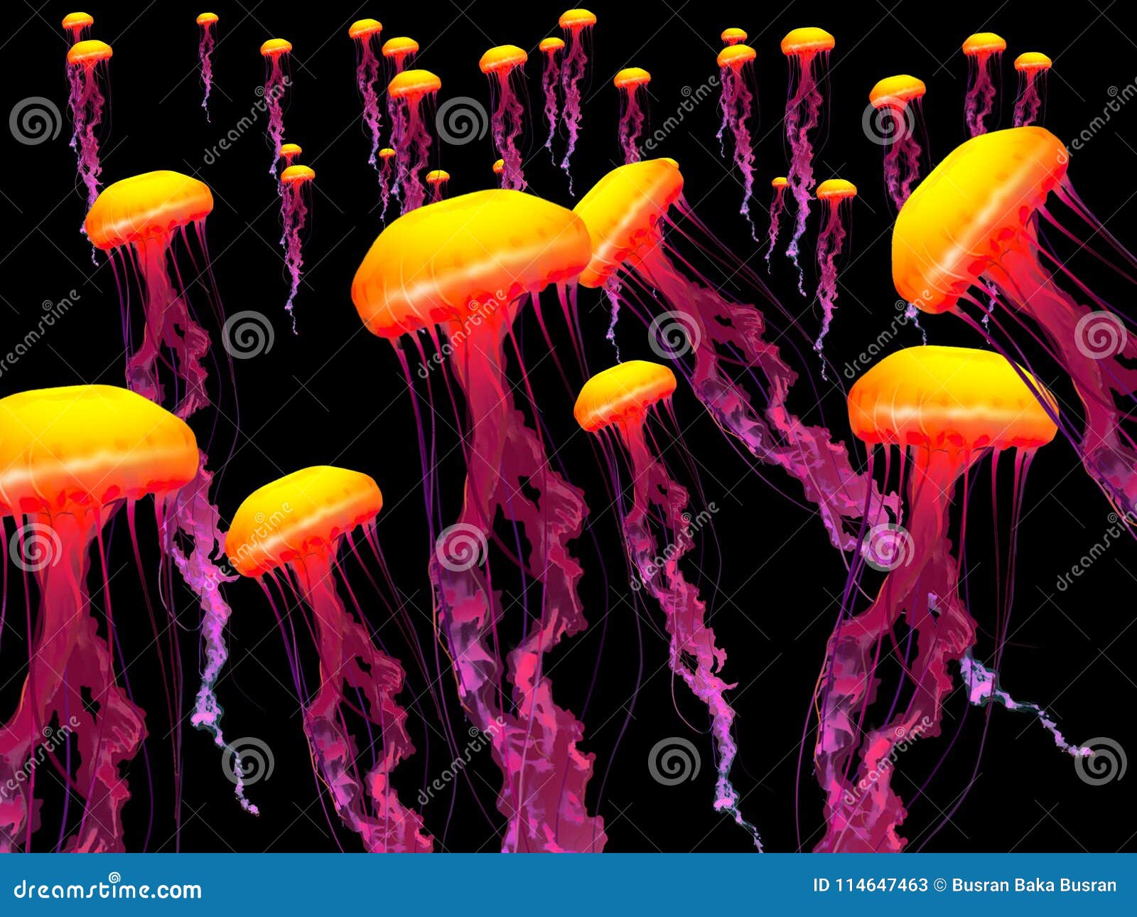 Luminous Jellyfish Jellyfish, in the Sea, Deep Water, Glowing Fish ...