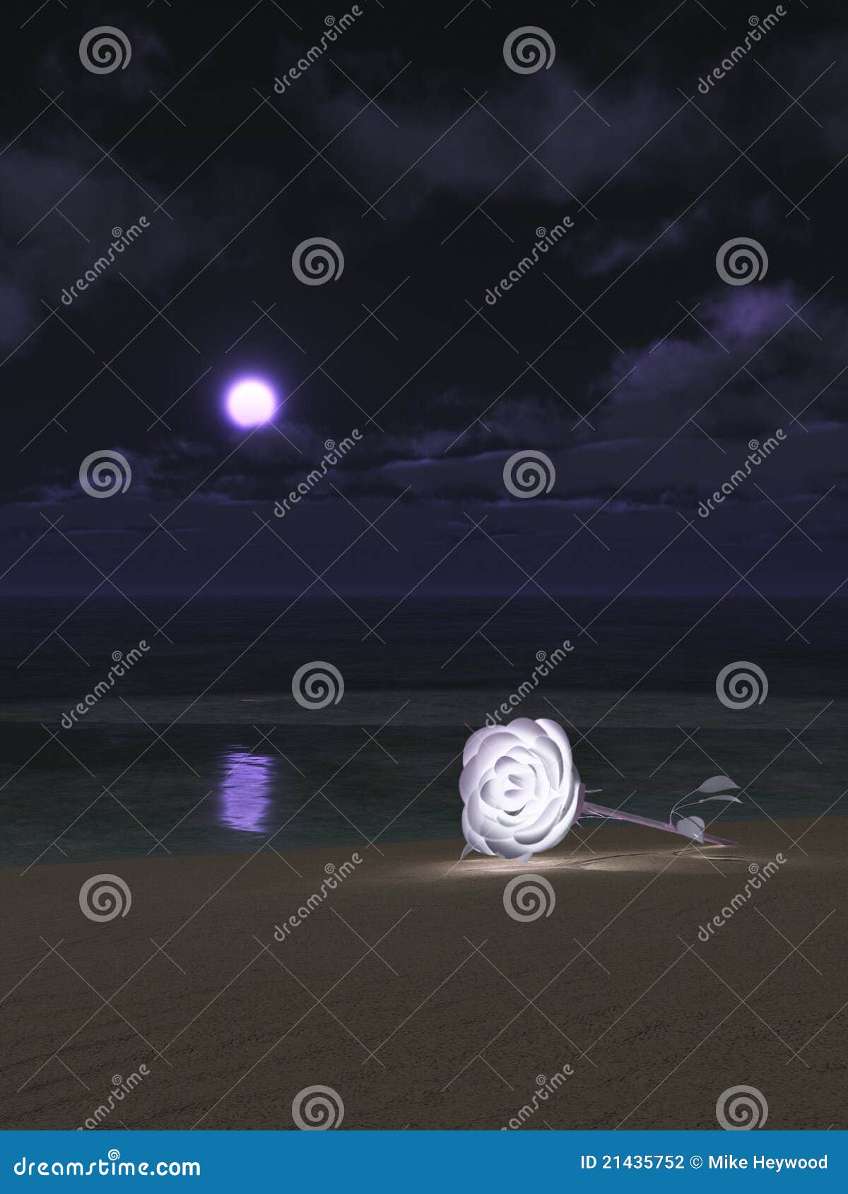 White Rose Beach Stock Illustrations – 1,865 White Rose Beach Stock ...