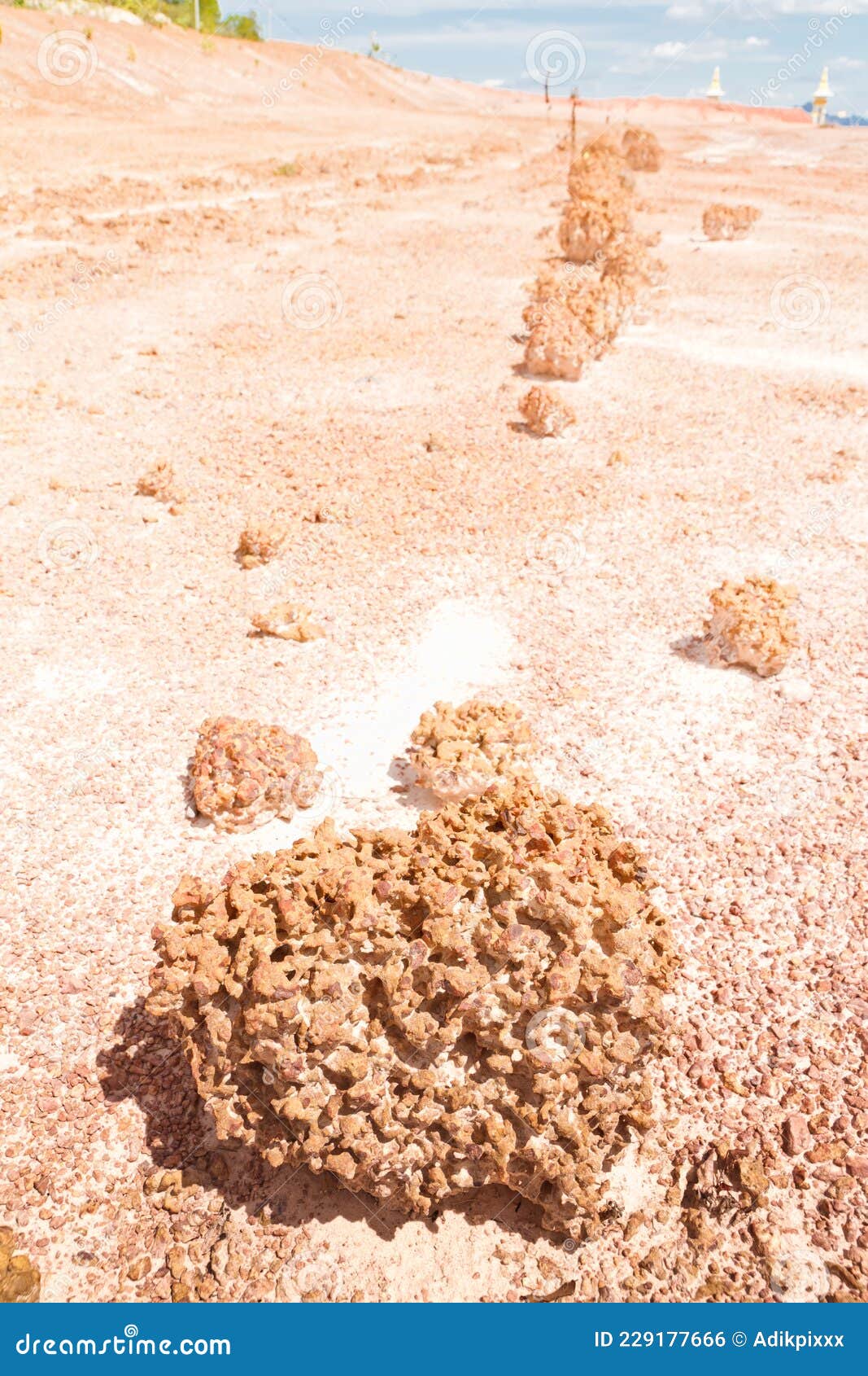 Erosion of soil. stock photo. Image of left, damage - 229177666