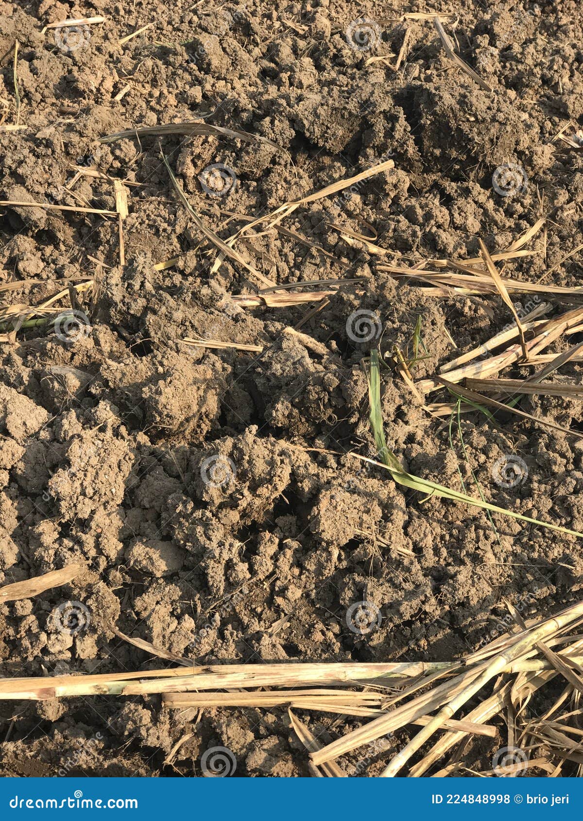 Soil Lumps Background. Dirt Surface. Sod Backdrop. Earth Pattern. Brown ...