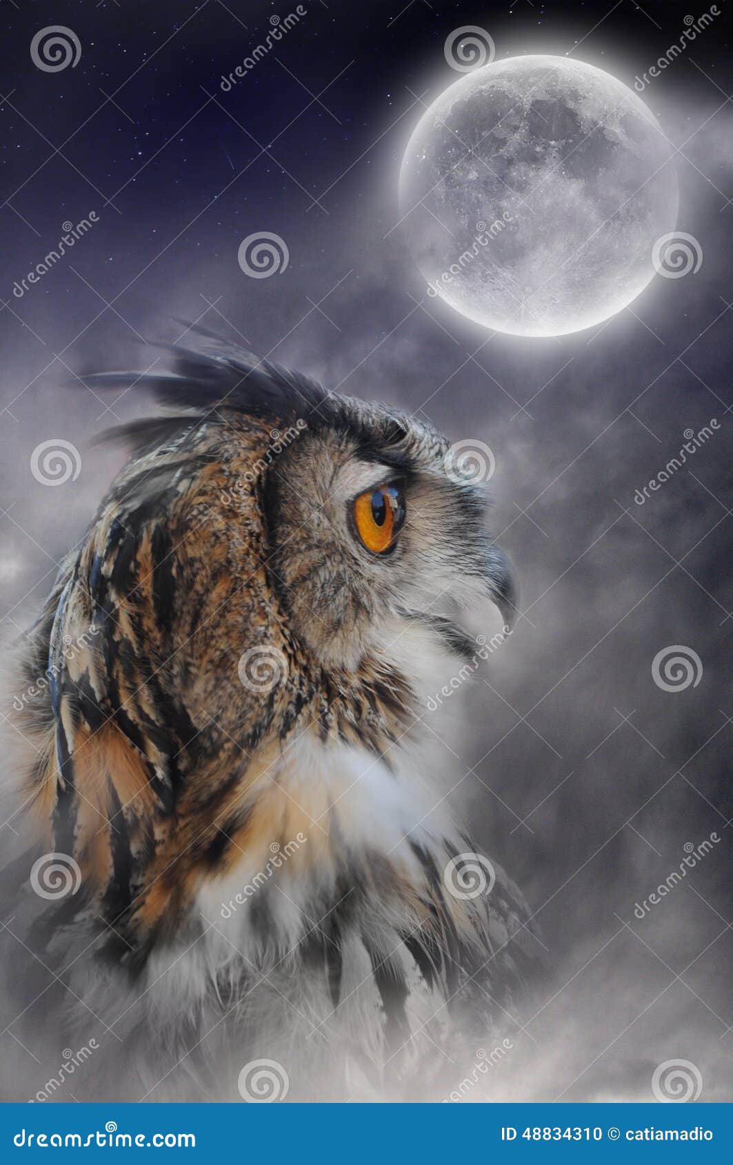 Luna Llena y búho foto de archivo. Imagen de completo - 48834310
