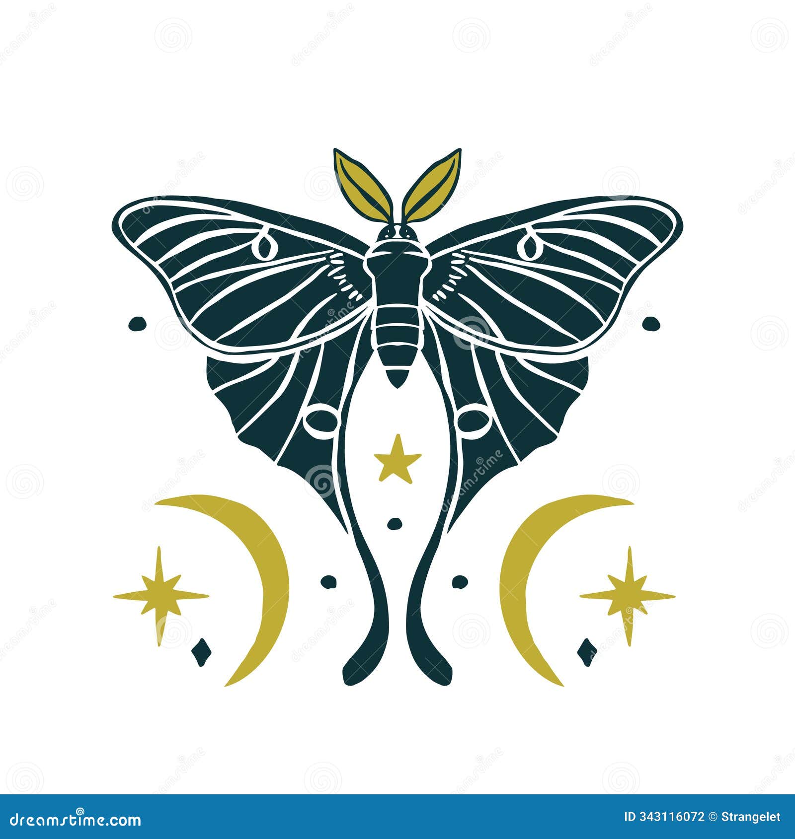 Luna Moth Hand Drawn Illustrations Set With Inspirational Quotes ...