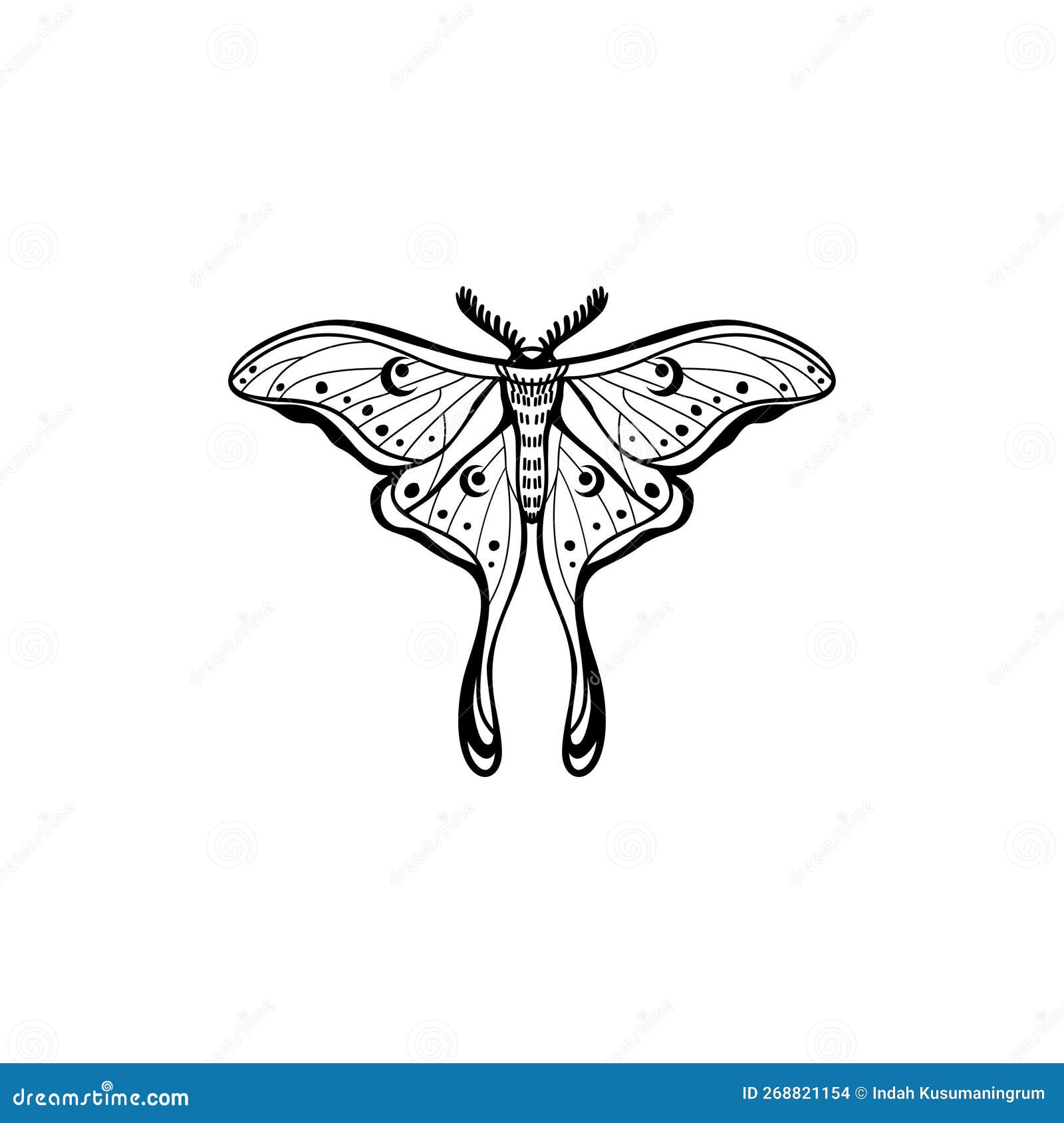 Luna Moth with Lilith S Symbol on Her Wings. Luna Moth, Moon Moth Stock ...