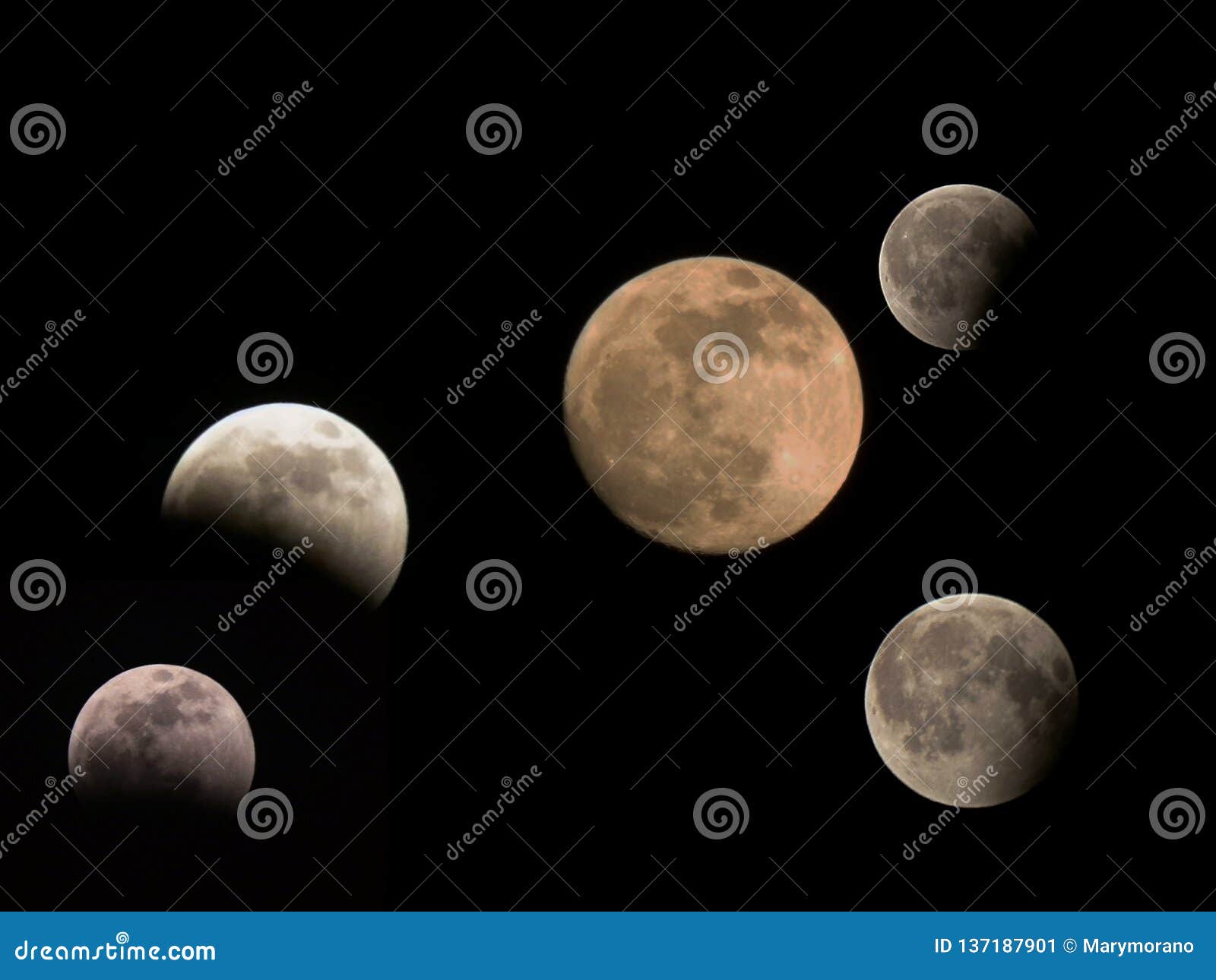 Lunar Eclipse Composite stock image. Image of lunar - 137187901