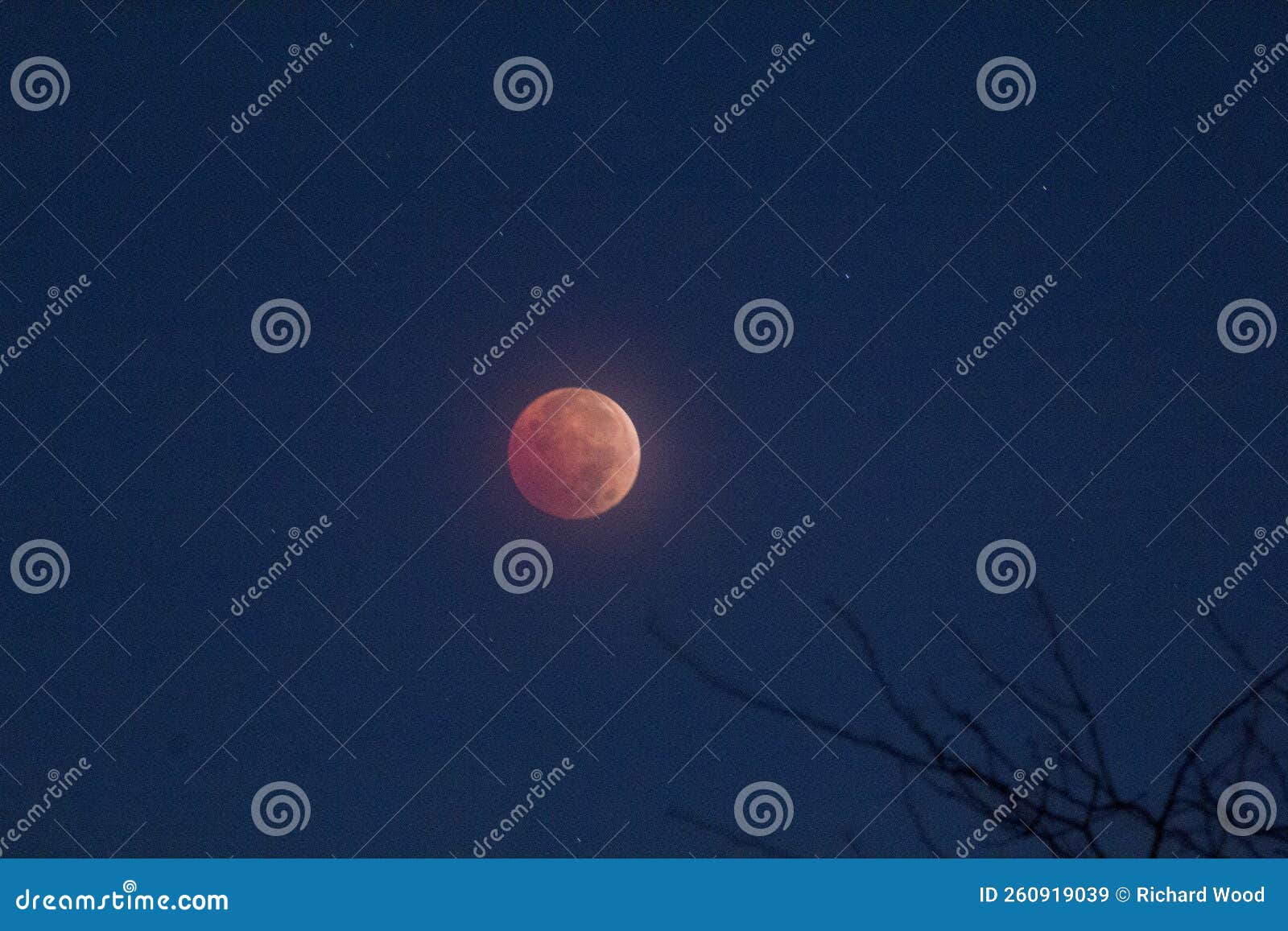 View of AnLunar Eclipse, November 8, 2022, Columbus, Ohio Stock Image ...