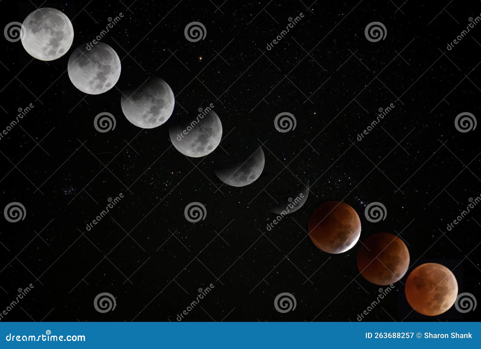 Lunar Eclipse Phases stock image. Image of partial, blood - 263688257