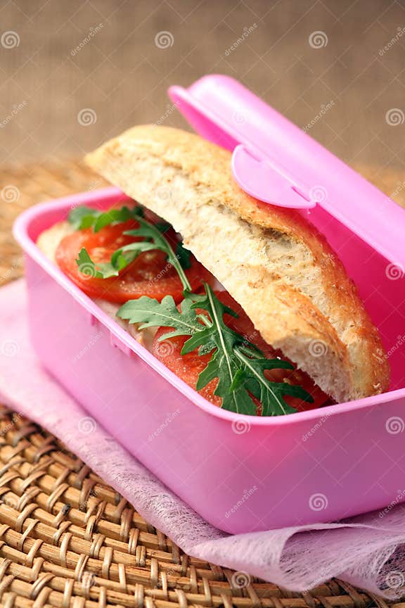 Lunch box stock photo. Image of plastic, lunchbox, healthy - 9269754