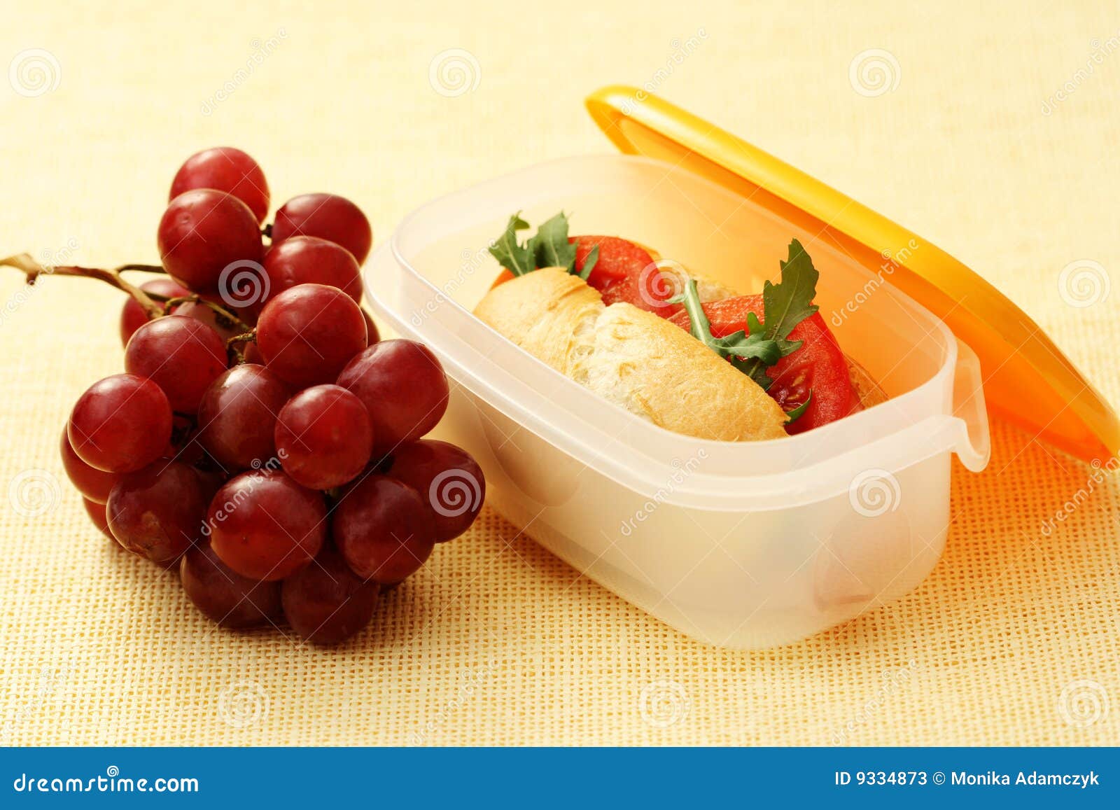 Lunch box stock image. Image of tomato, sandwich, eating - 9334873