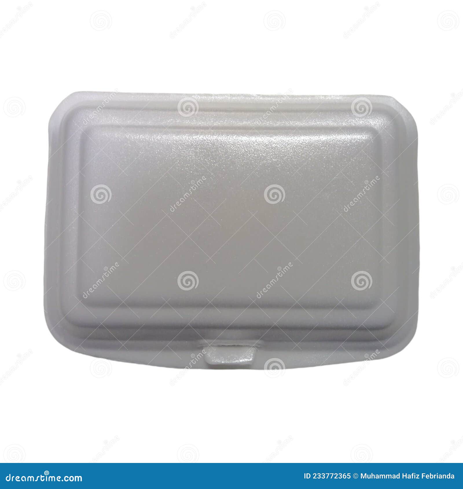 Lunch Box on a Styrofoam Container on Isolated Wihite Background Stock ...