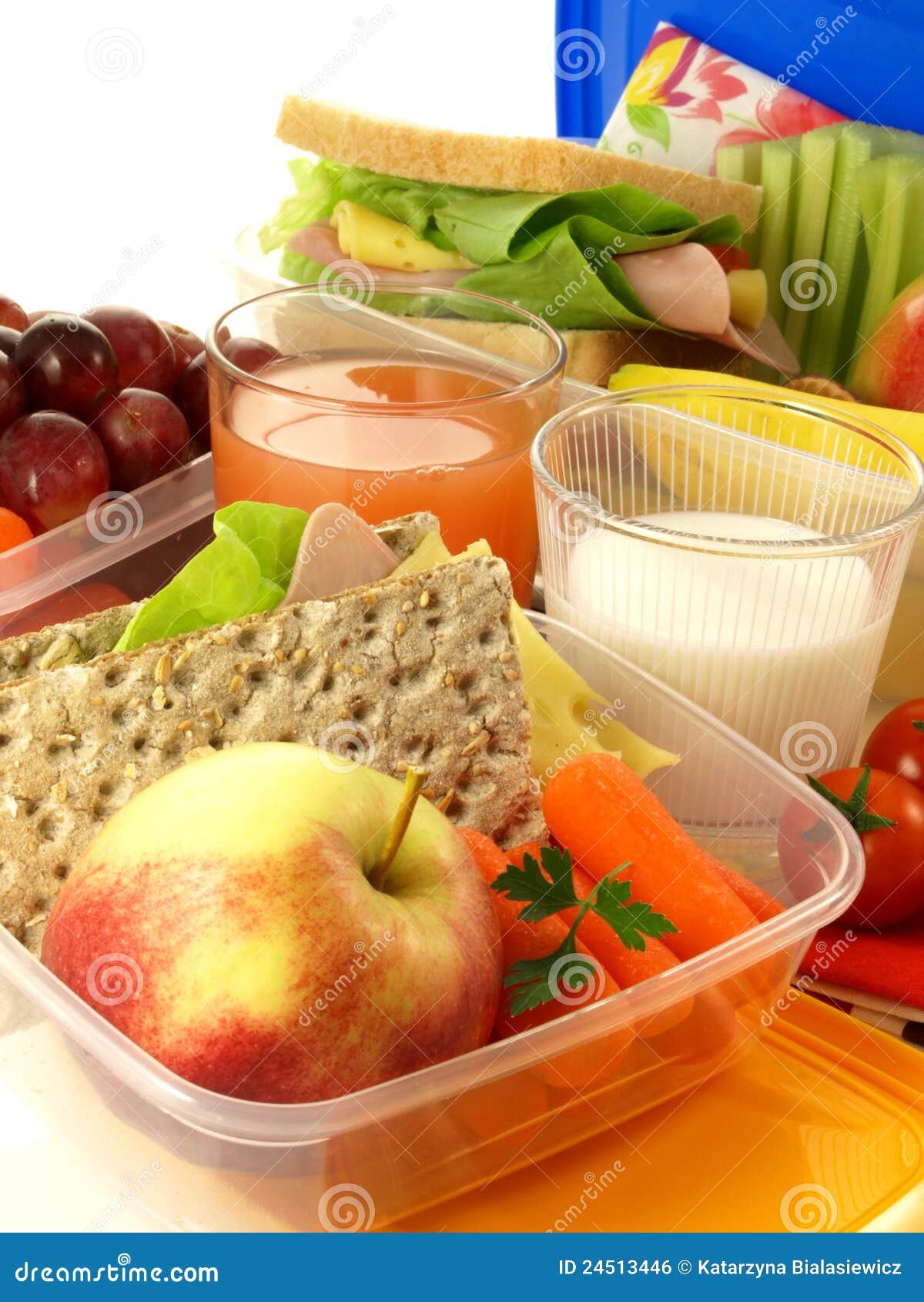 Lunch meal stock photo. Image of closeup, picnic, carrot - 24513446