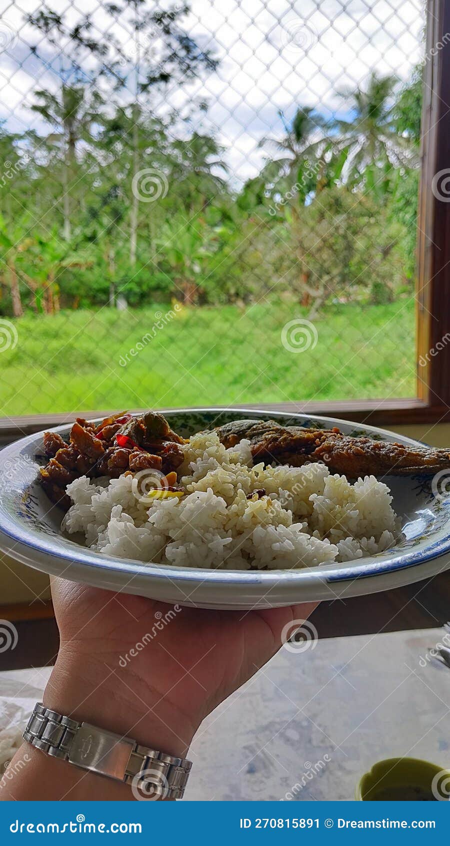 Lunch with Rice, Fish, and Beautiful Scenery Stock Image - Image of ...