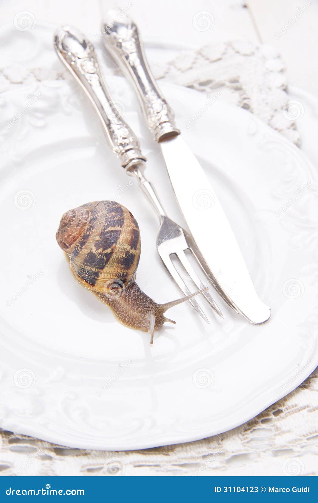Lunch of Snails stock image. Image of cooking, traditional - 31104123