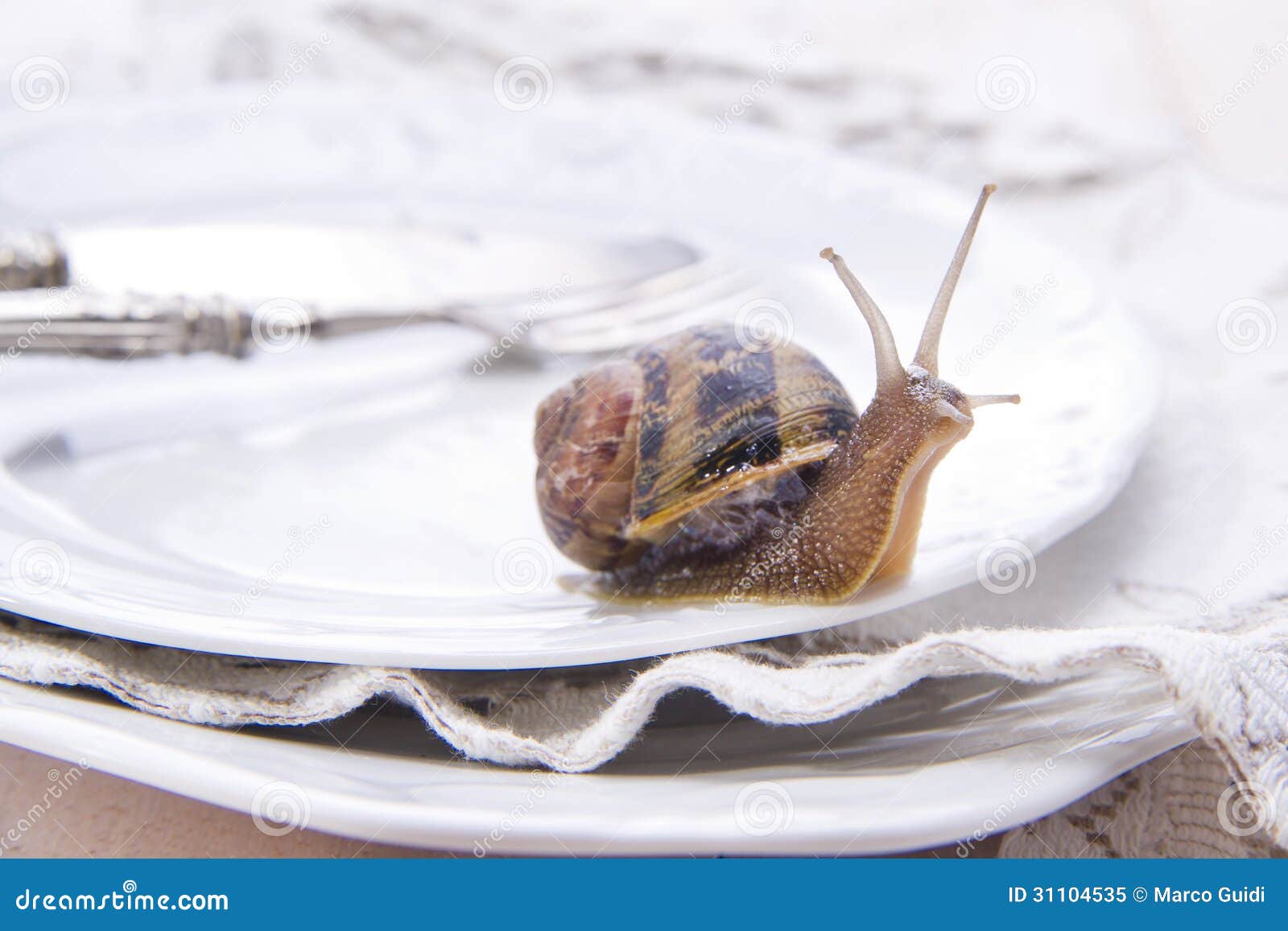 Lunch of Snails stock image. Image of recipe, flavor - 31104535