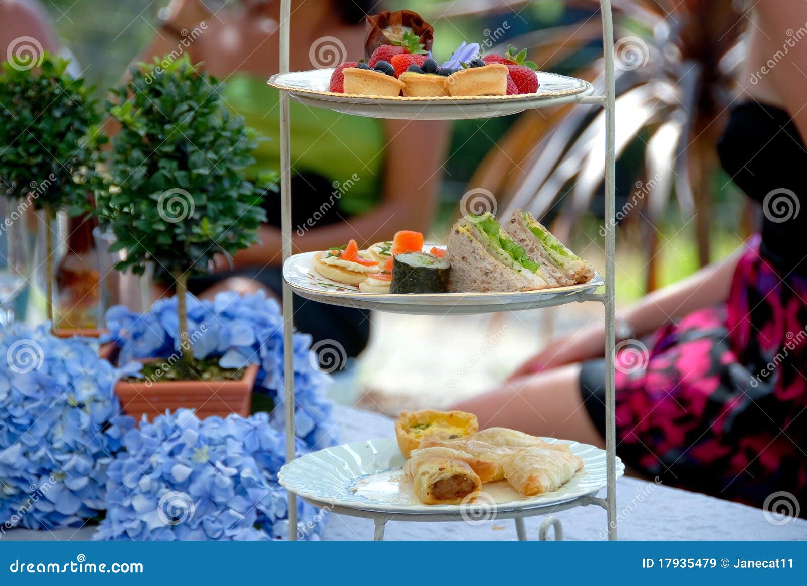 Luncheon party stock image. Image of spring, social, petit - 17935479