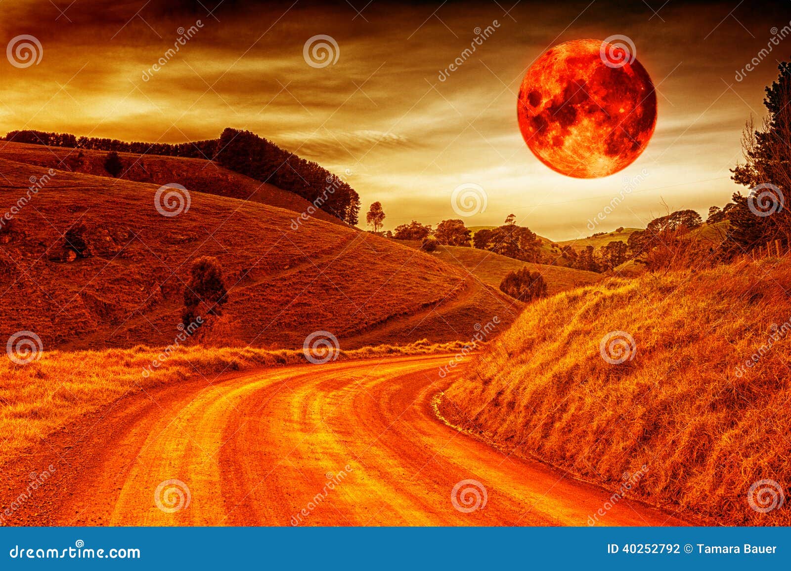 Lune rouge sang photo stock. Image du lune, champs, moonlight - 40252792