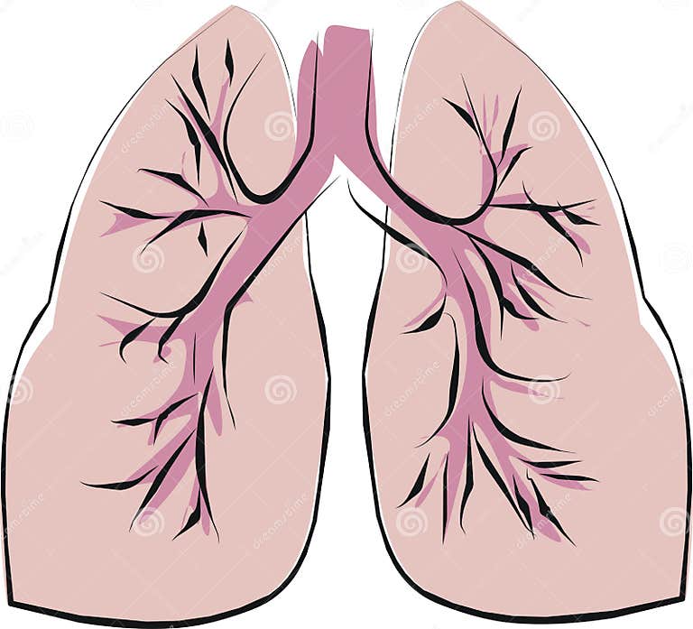 Lung stock vector. Illustration of prohibit, cancer, respiratory - 21875723