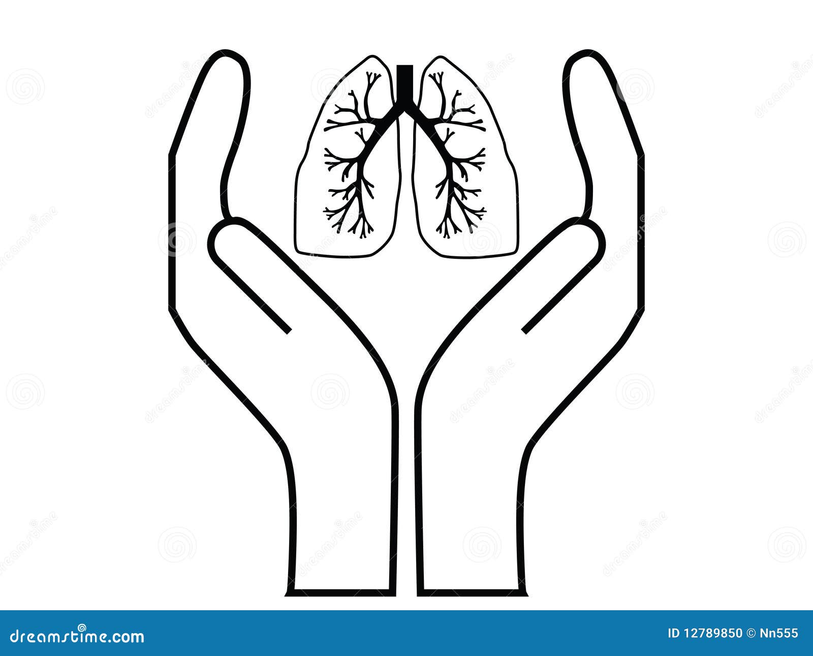 Lung care stock vector. Illustration of healthy, biology - 12789850