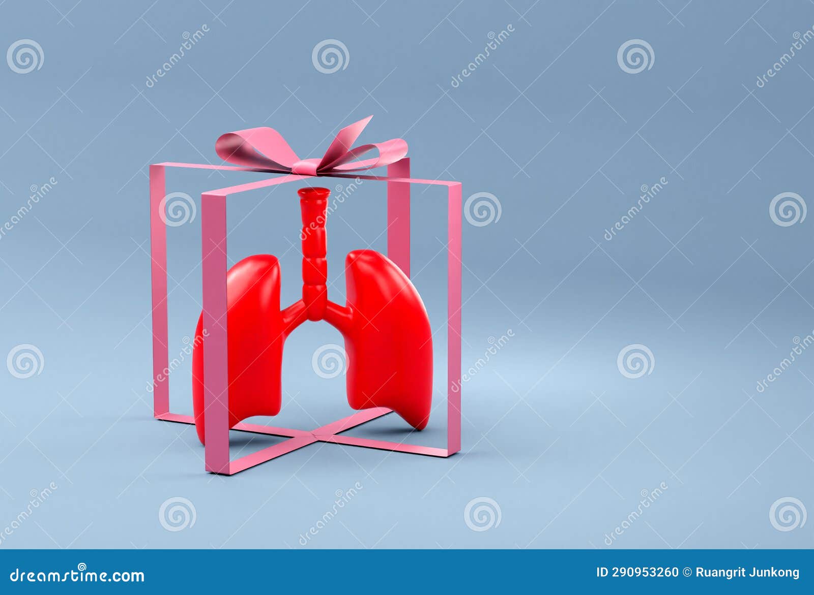 Lung in Empty Gift Box only Has Ribbon and Bow Stock Illustration ...