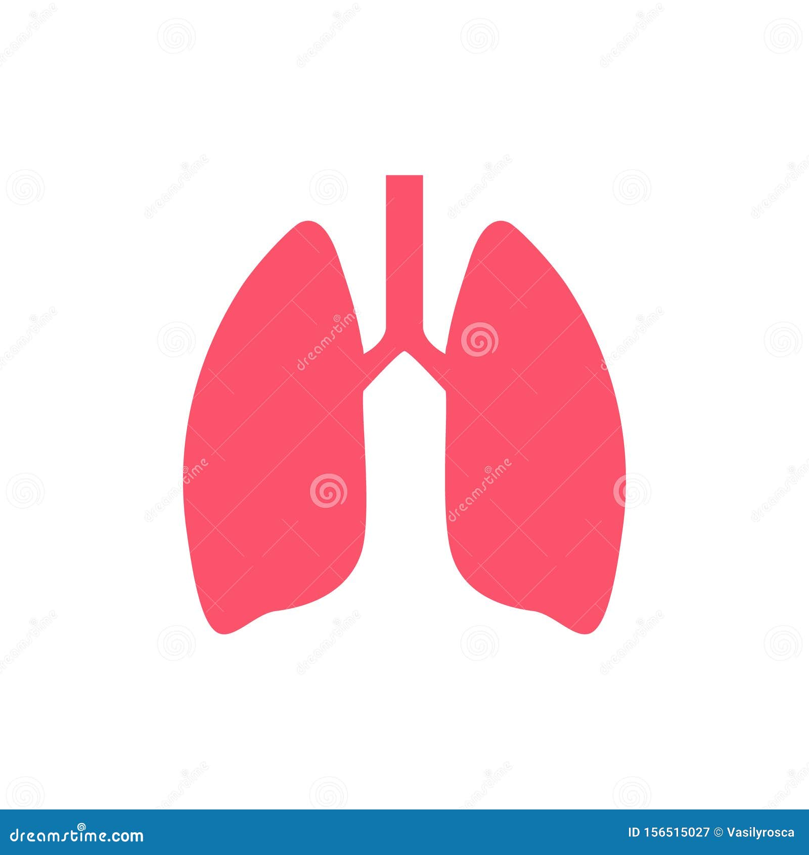 Lung Human Icon, Respiratory System Healthy Lungs Anatomy Flat Medical ... Lung Human Icon, Respiratory System Healthy Lungs Anatomy Flat Medical ...