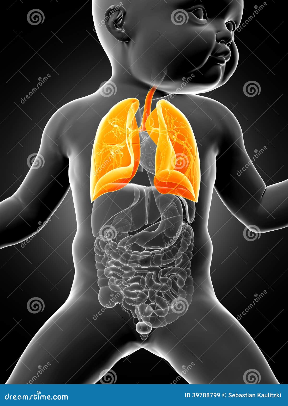 Lungan Av En Behandla Som Ett Barn Stock Illustrationer - Illustration ...